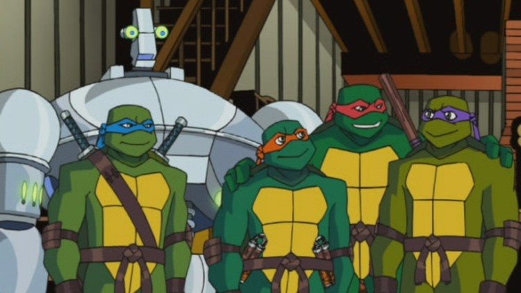 Watch Teenage Mutant Ninja Turtles Season 7 Episode 13: Teenage Mutant ...