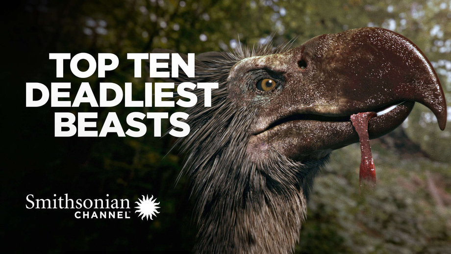 Top Ten Deadliest Beasts - Watch Full Movie on Paramount Plus