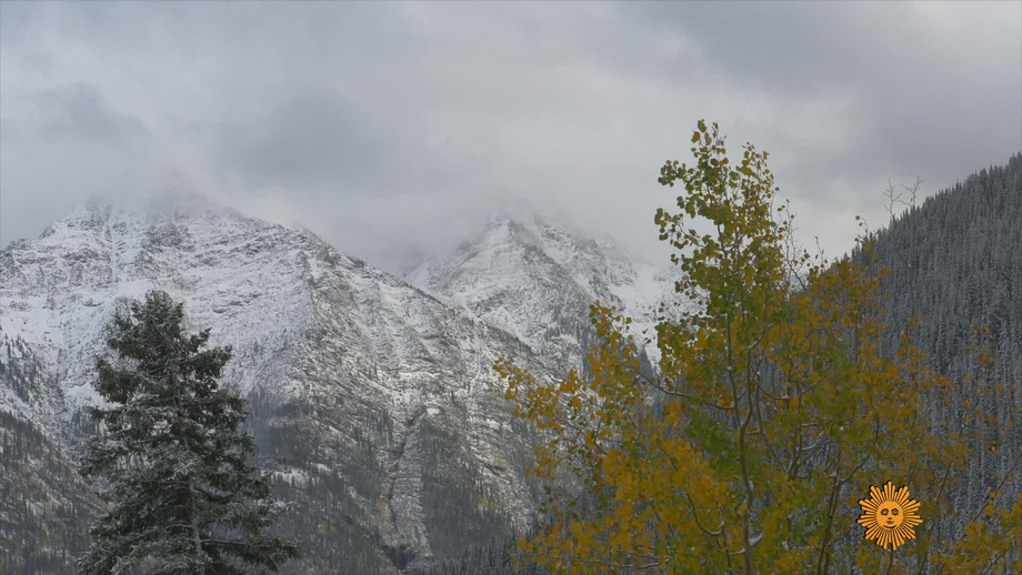 Watch Sunday Morning: Nature: Colorado forest - Full show on CBS